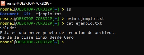 Ejemplo de modificación de archivos con NeoVim | EDteam