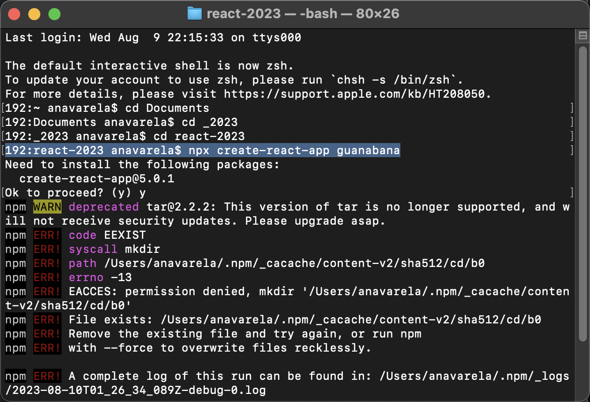ERROR al instalar el paquete npx | EDteam